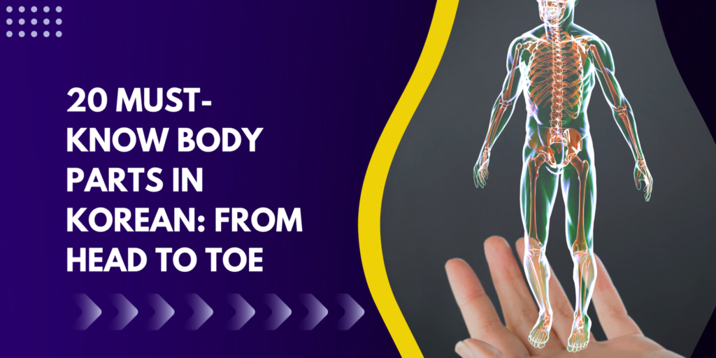 20 Must-know Body Parts in Korean Language